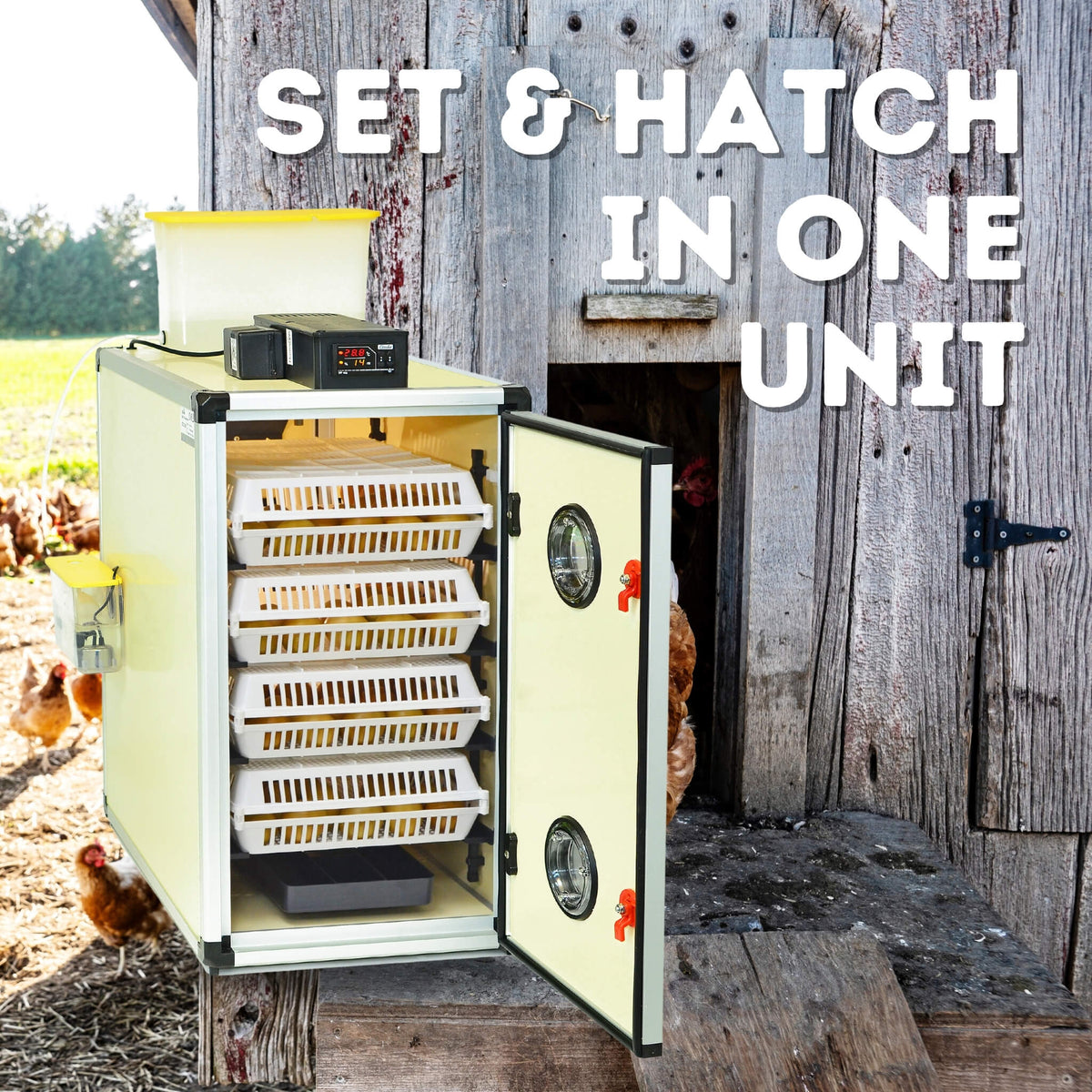 Incubators and Hatchers Brooders – NORTH STAR FARMS