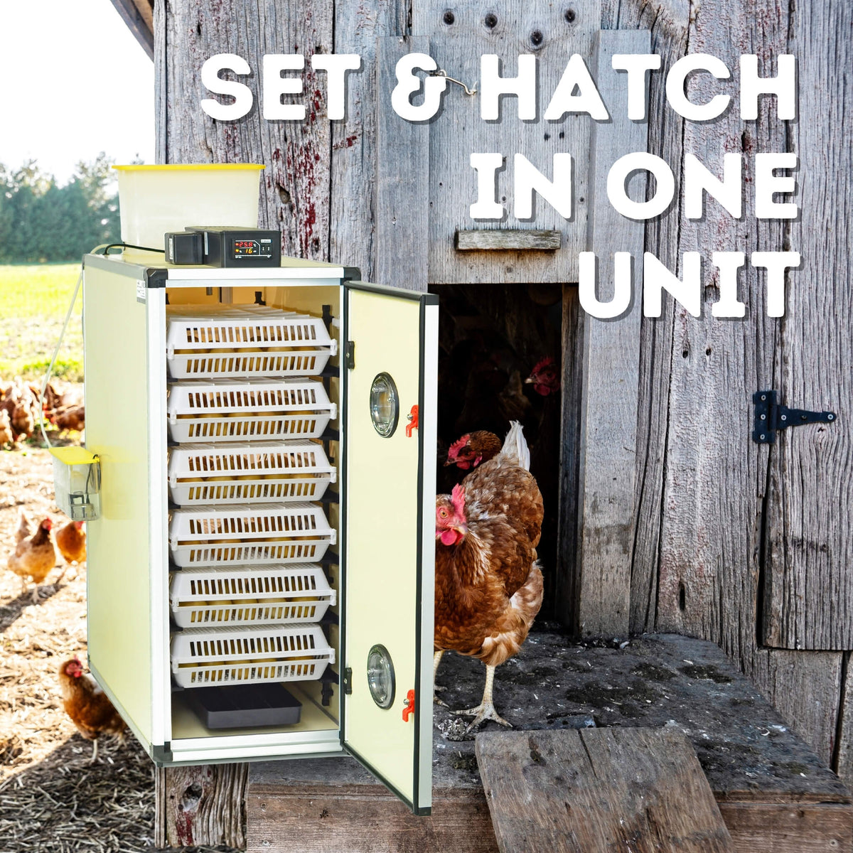 CT180 SH - Egg Incubator - Setter & Hatcher – NORTH STAR FARMS